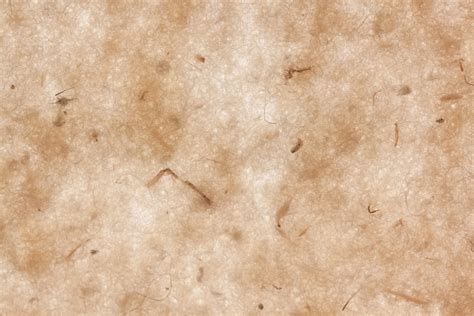 무료 이미지 모래 목재 조직 바닥 흙 부드러운 껴안다 천연물 중세 펠트 처리 된 천연 섬유 잔디 가족 양털 펠트 외장 4752x3168