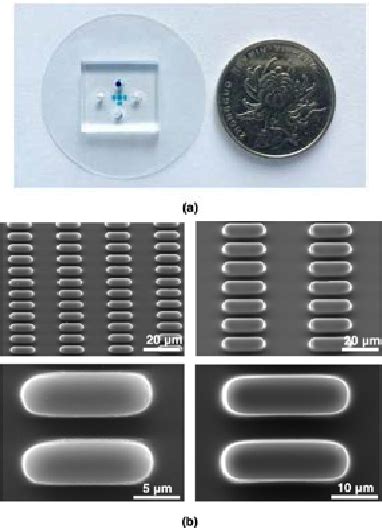Figure 2 From Multi Stage Microfluidic Capture Arrays For Detecting