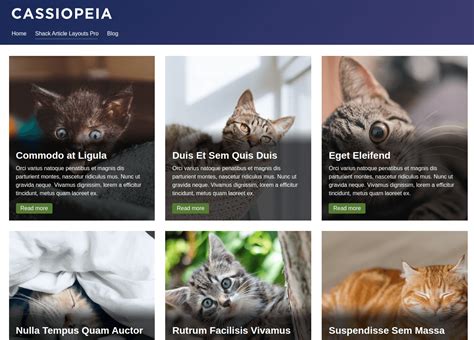 How To Use The Cover Layout In Shack Article Layouts Joomlashack