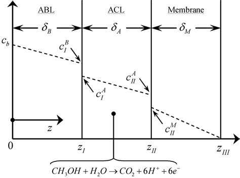Schematic Of The Dmfc Layers Considered In The Model Download