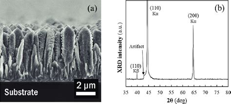 A Sem Micrograph Of A Cross Section And B Corresponding Xrd Pattern