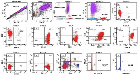 Bone Marrow Bm Flowcytometry Fcm Showing A Sequential Gating