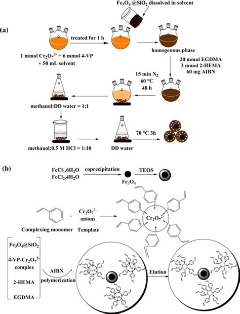 Schematic Model For The Synthesis Of Magnetic Chromium Ion Imprinted Download Scientific