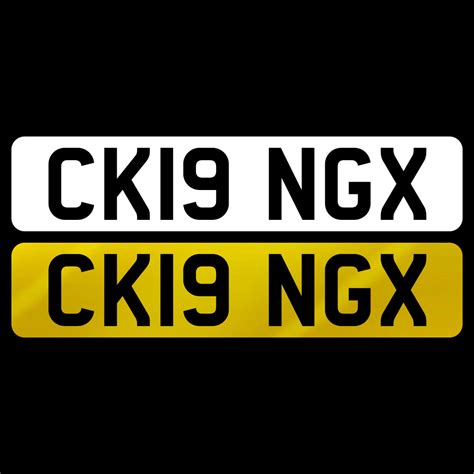 Ck19 Ngx Reg King