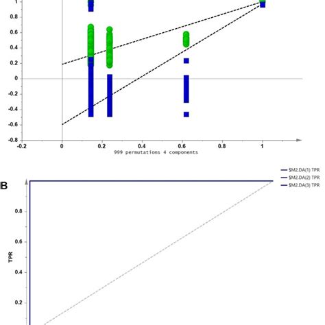 A Permutation Test A And Receiver Operating Characteristics Test B