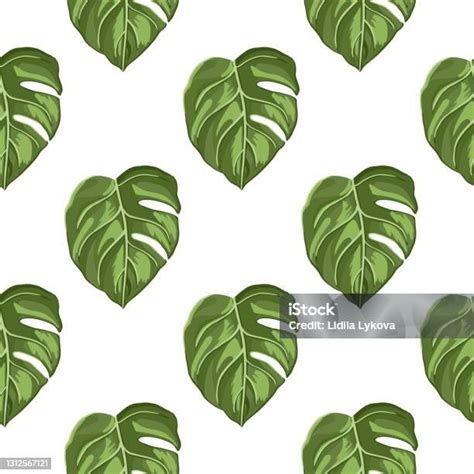 흰색 배경에 열대 원활한 패턴 잎 몬스터 녹색 추상적 인 질감 장식 종려나무 잎에 대한 스톡 벡터 아트 및 기타 이미지 종려나무 잎 하와이 제도 그리기 Istock