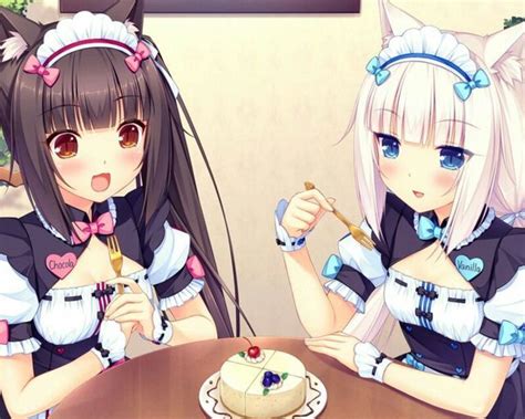 Chocola And Vanilla Nekopara
