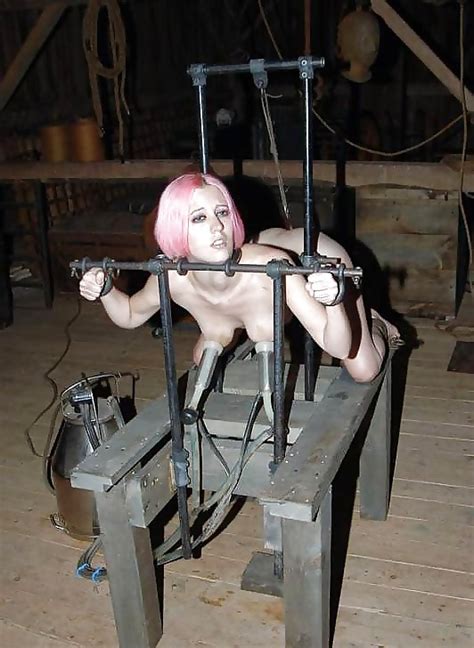 Hu Cows Porn Pictures Xxx Photos Sex Images 1963629 Pictoa