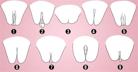 Quels Sont Les 10 Types De Vagins Qui Existent Dans Le Monde