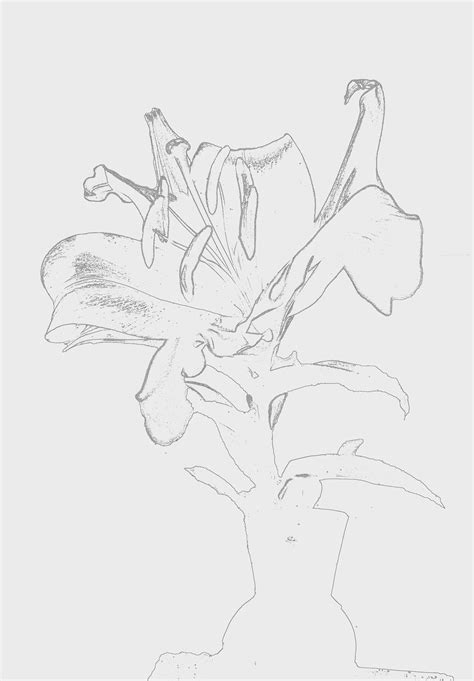 【油絵】花の描き方のおすすめ技法を画像付きで解説 絵画をたしなむ