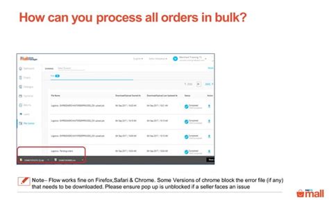 Express Bulk Order Processing Pdf Browsers Computer Software And