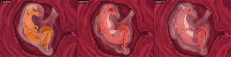 Rule 34 Ambiguous Species Amniotic Fluid Amniotic Sac Anthro Anthro