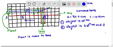 Solved The Figure Figure 1 Shows A Small Plant Near A Thin Lens The Ray Shown Is One Of The