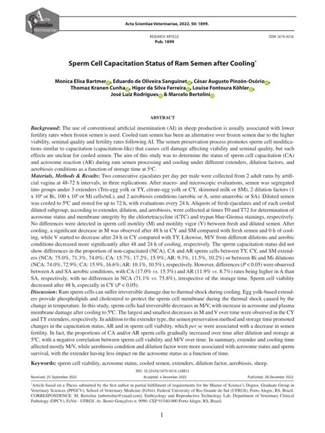 Pdf Sperm Cell Capacitation Status Of Ram Semen After Cooling