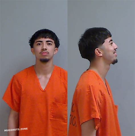Serrano Dante 12 26 2024 Hidalgo County Mugshots Zone