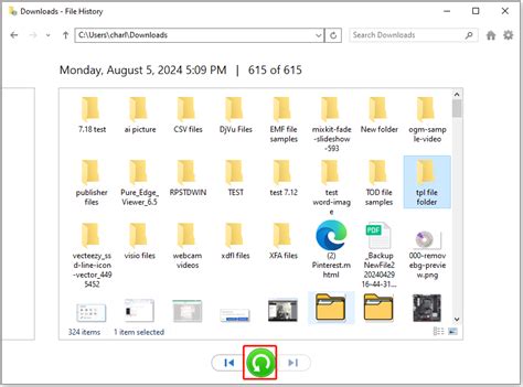 Tpl File Recovery How To Recover Deleted Tpl Files