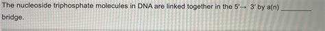 Solved The Nucleoside Triphosphate Molecules In Dna Are