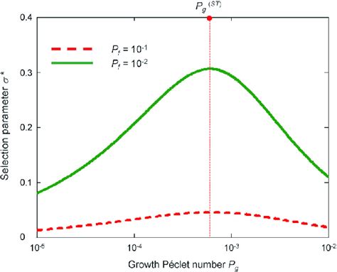Influence Of Convective Flow On Thermosolutal Dendrite Growth