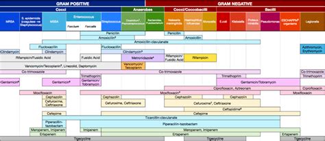 Antibiotics Critical Care Northampton