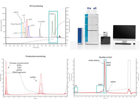 Analytical Platforms Sartorius Bia Separations