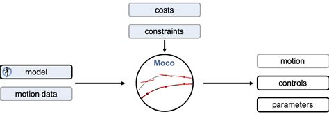 Opensim Moco