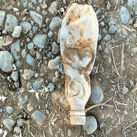 Nb Train Object Detection Dataset By Non Bio