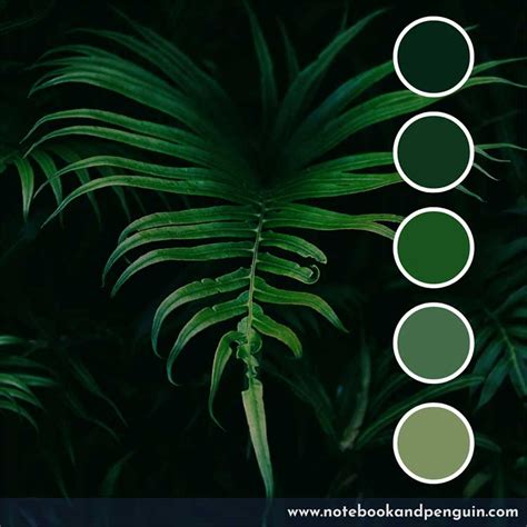 7 Gorgeous Dark Green Color Palette Ideas With Hex Codes
