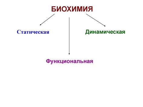 Биологическая химия - презентация онлайн