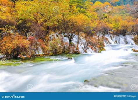 Beautiful Jiuzhaigou In Autumn Stock Image Image Of Stream Beautiful 35662259