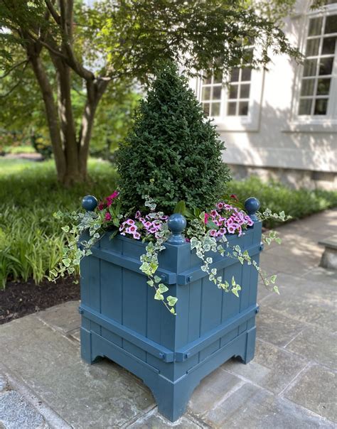 Using Evergreens In Container Gardens — Contained Creations