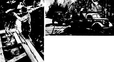 ‘cherry Picker Plants 15 000 Rainbow Trout Black Diamond History