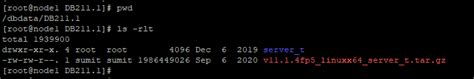 linux 上的 db2 11 1 安装 雪竹子 博客园