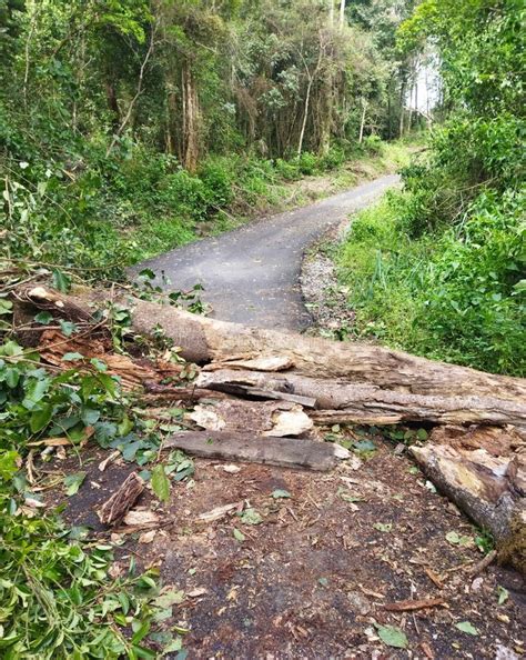 Fallen Trees Blocking Public Roads Stock Image Image Of Trees Blocking 292532583
