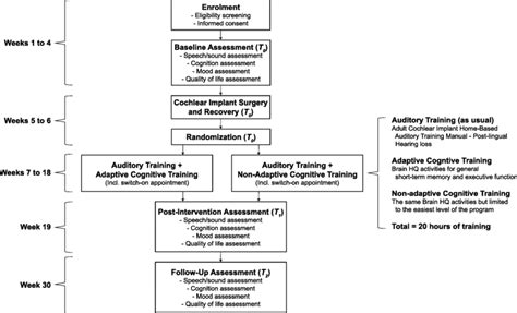 Flow Diagram Of Testing Procedure Download Scientific Diagram