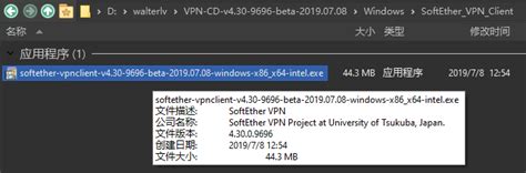使用 Softether Vpn 在 Vps 和个人电脑之间搭建 Vpn 网络 Walterlv