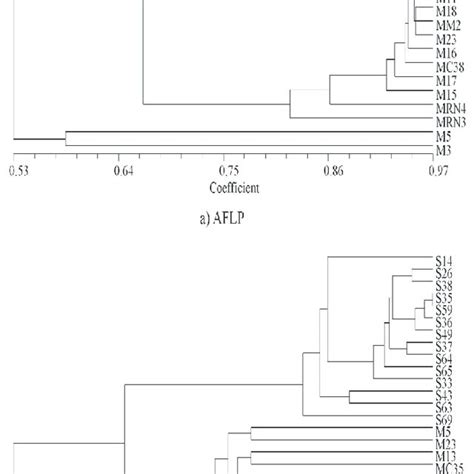 Figure Upgma Dendrograms Based On Simple Matching Coefficient Showing