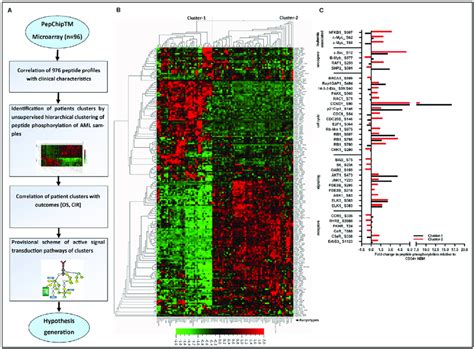 Peptide Microarray Profiling And Its Relation With Patient Outcome A Download Scientific