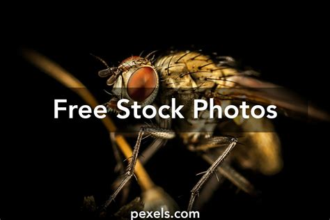 Micro Algae Carbon Capture Photos Download The Best Free Micro Algae Carbon Capture Stock