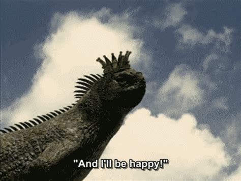 King Iguana  On Imgur