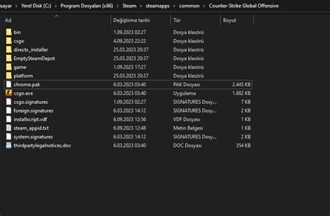 Wanna Delete Csgo And Keep Cs2 Rglobaloffensive