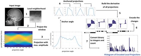 the steps to extract the elp histogram 1 local windows are selected