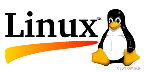 【新星计划linux】——常用命令（1） 新星linux csdn博客