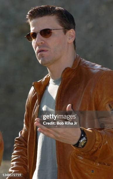 5855 David Boreanaz Photos And High Res Pictures Getty Images