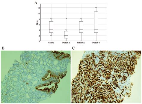 A Box Plot For Cd10 Expression Demonstrated Pattern 3 Cases Showed
