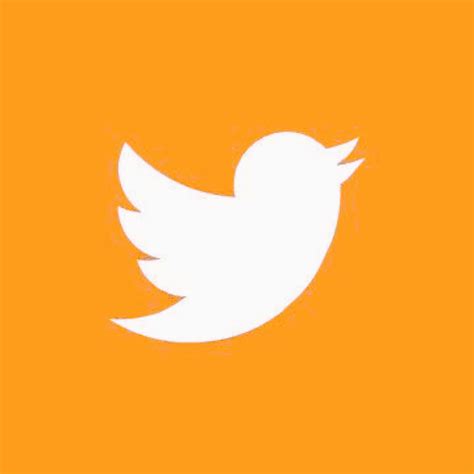 Pranav ️ On Twitter How To Make Youre Tweetwr Orange 🟠 Tksxszdb8b Twitter