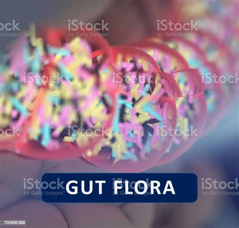 창 자가 박테리아 창 자 식물 미생물입니다 작은 창 자 개념 표현 안에 박테리아 3d 그림입니다 프로바이오틱에 대한 스톡 사진 및 기타 이미지 Istock