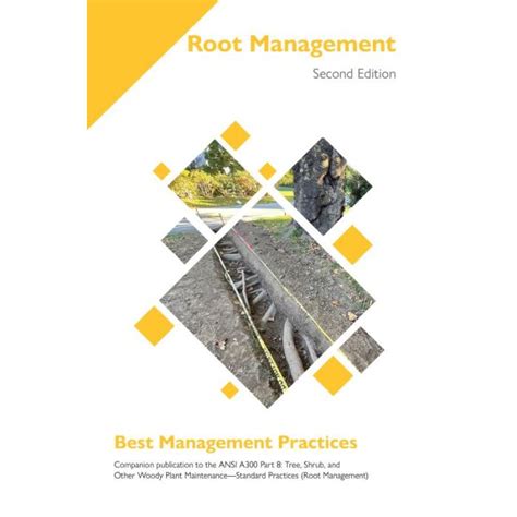 Isa Bmp Root Management