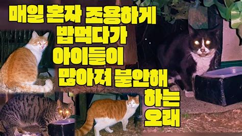 매일 혼자 밥먹던 장소에 아이들이 많아져서 밥을 잘 먹지 못하는 오래 Youtube