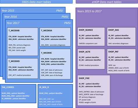 Snds Data Mart Tables In Blue Including Pmsi Tables And Ehop Data