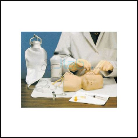 Neonate Scalp Venipuncture Model India Manufacturers Suppliers Exporters In India